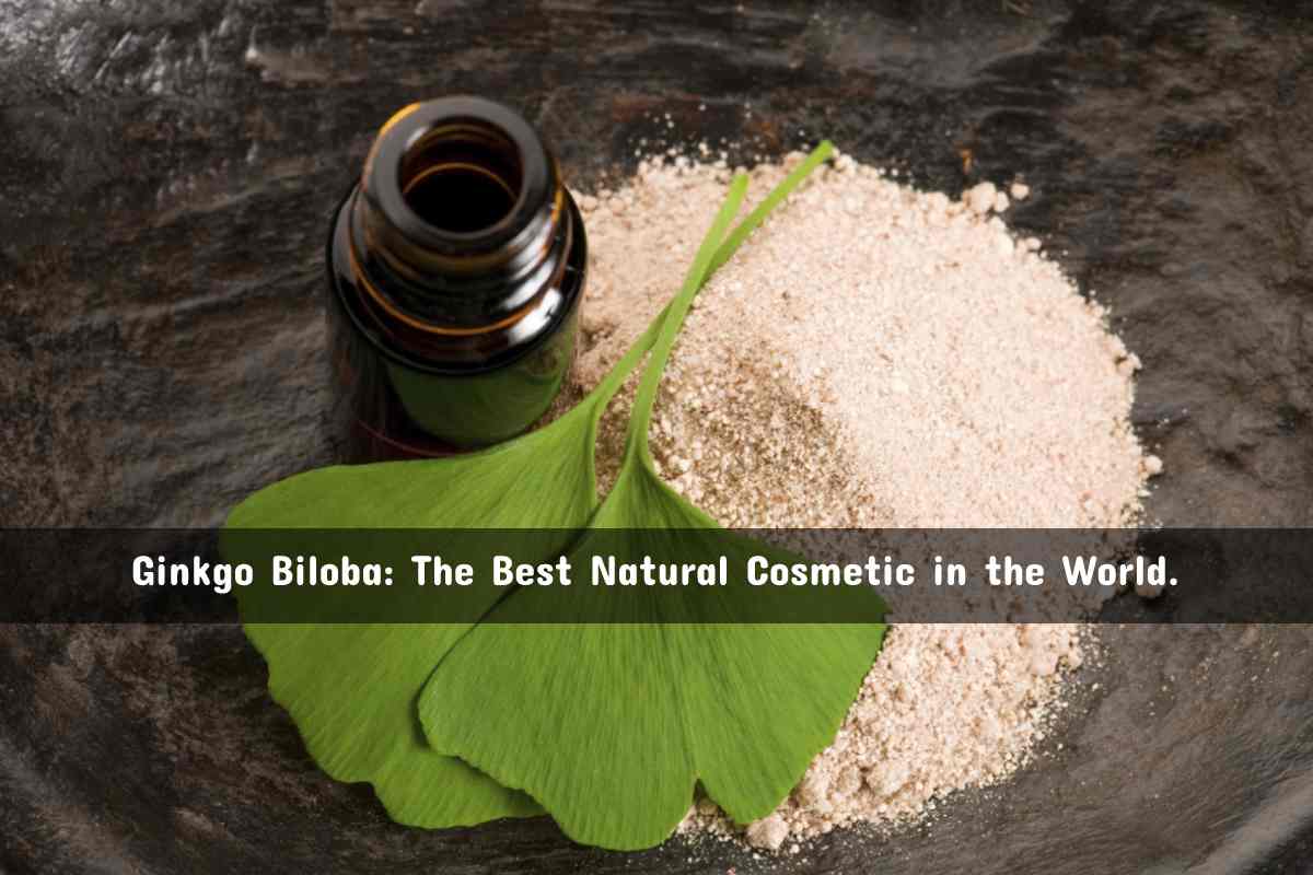 Ginkgo Biloba: The Best Natural Cosmetic in the World.
